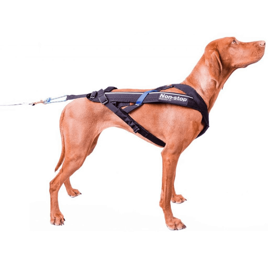 Freemotion Harness 8 | Halsbänder, Leinen, Geschirre | Hundezubehör ...